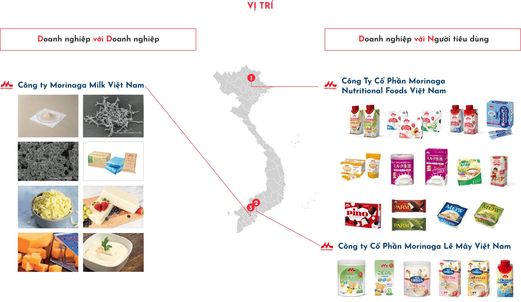 Về chúng tôi tại Việt Nam | Công ty TNHH Morinaga Milk Việt Nam